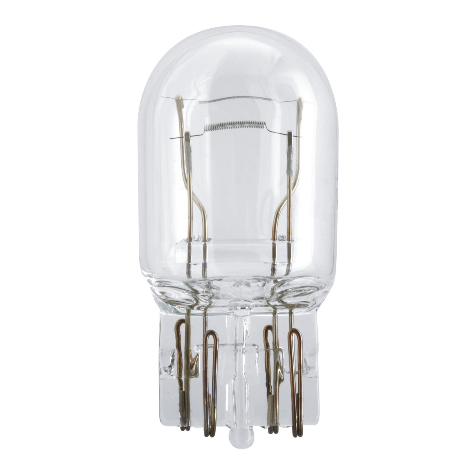Philips Bulb W21W/5W 12066 ST 12V CP – Buzz Bikes